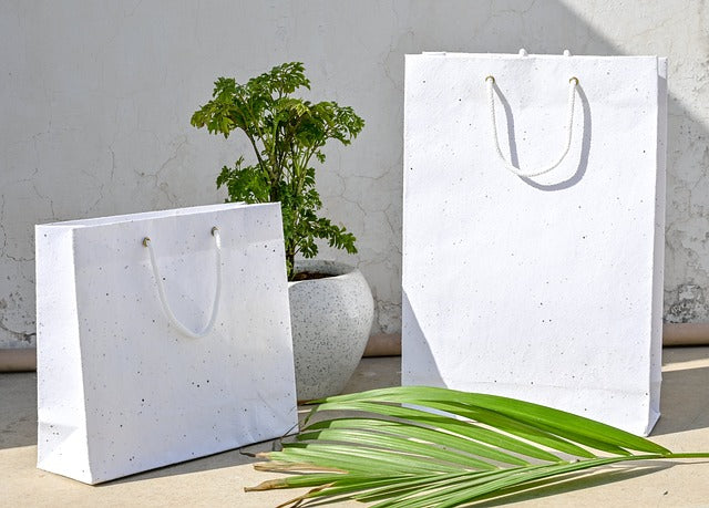 Paper Bag Picnics: Eco-Friendly Dining in Nature