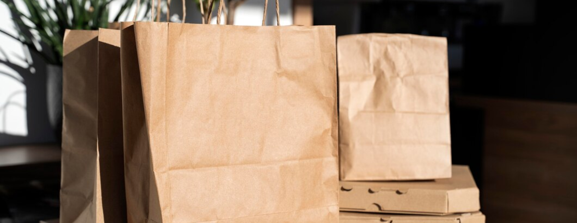 Wholesale Paper Bags: Kraft, Small, Bulk from Manufacturers